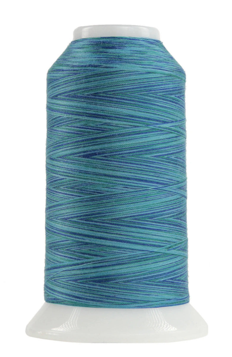 Omni Variegated Polyester Thread - Laguna - 40wt 2000yd – Quilt in a Day