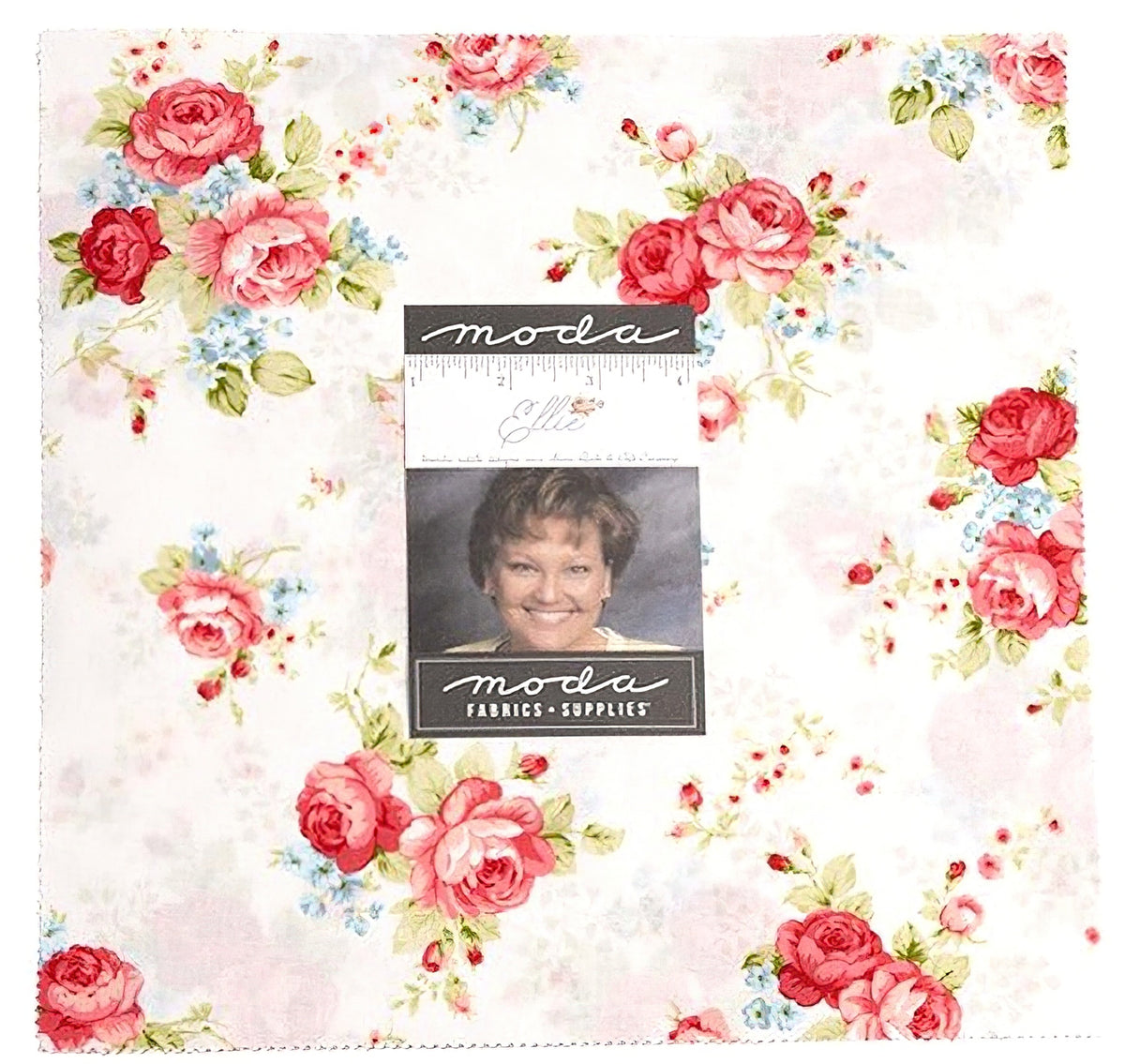 Ellie Layer Cake by Brenda Riddle Moda Precuts – Quilt in a Day