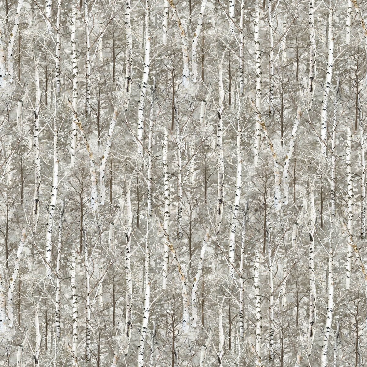 NORTHCOTT - Wild At Heart by Al Agnew - Naturescapes - Forest - Dark T ...