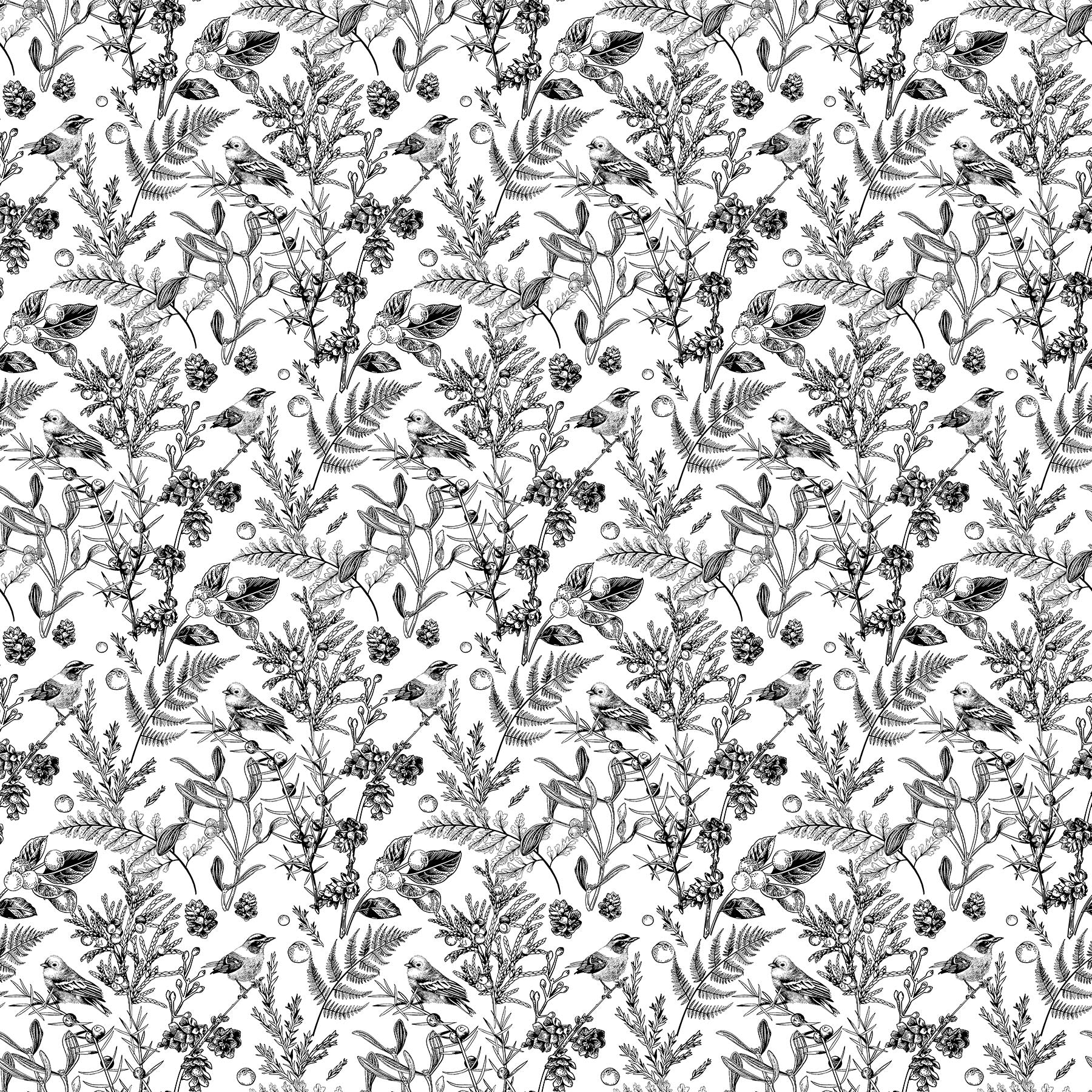 NORTHCOTT - Nature's Sketchbook by Deborah Edwards Northcott Studio ...