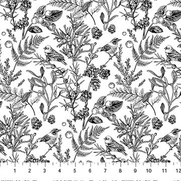 NORTHCOTT - Nature's Sketchbook by Deborah Edwards Northcott Studio ...