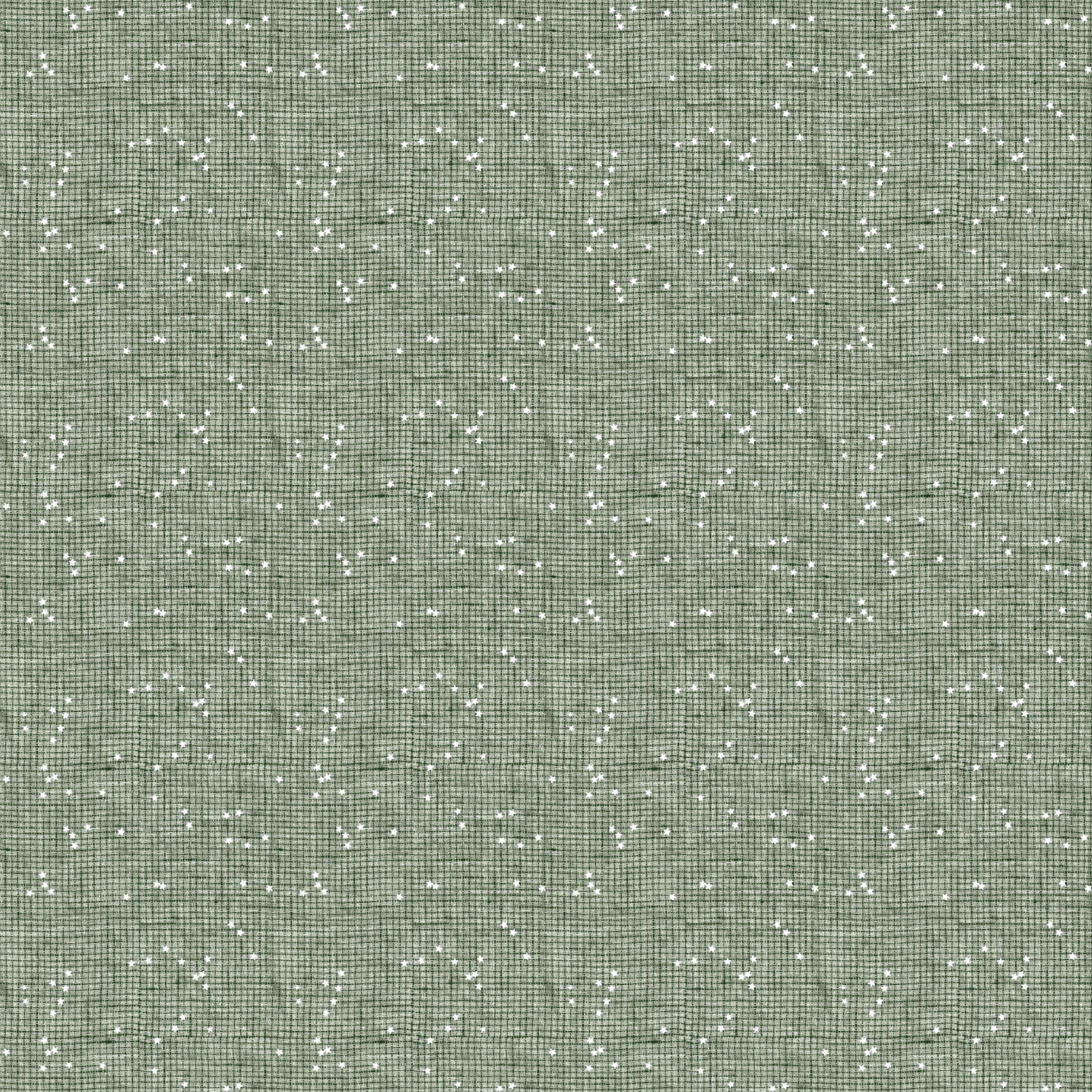 FIGO - Stash by Ghazal Razavi - Check - Sage – Quilt in a Day