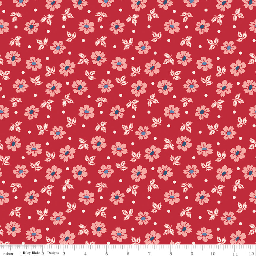 RILEY BLAKE - Americana by Lori Holt - Washington - Berry – Quilt in a Day