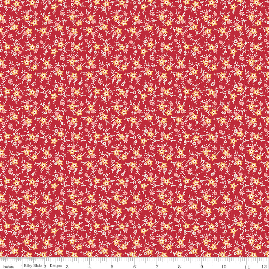 RILEY BLAKE - Americana by Lori Holt - July - Berry – Quilt in a Day