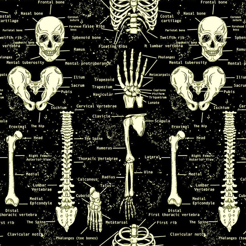 TIMELESS TREASURES - Glow in the Dark by Timeless Treasures - Skeleton ...