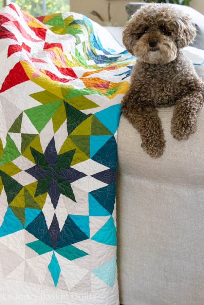 Alaska Rainbow Quilt Pattern by Edyta Sitar Laundry Basket Quilts ...