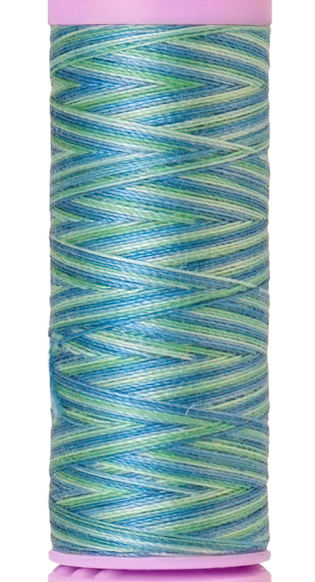 Silk-finish 50wt Variegated Cotton Thread 109yd/100m Citrus Twist ...